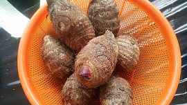 Pět nejlepších dezertů do skleničky: Míša řezy skoro bez práce nebo ...