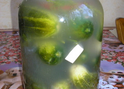 Kvašáky - TopRecepty.cz