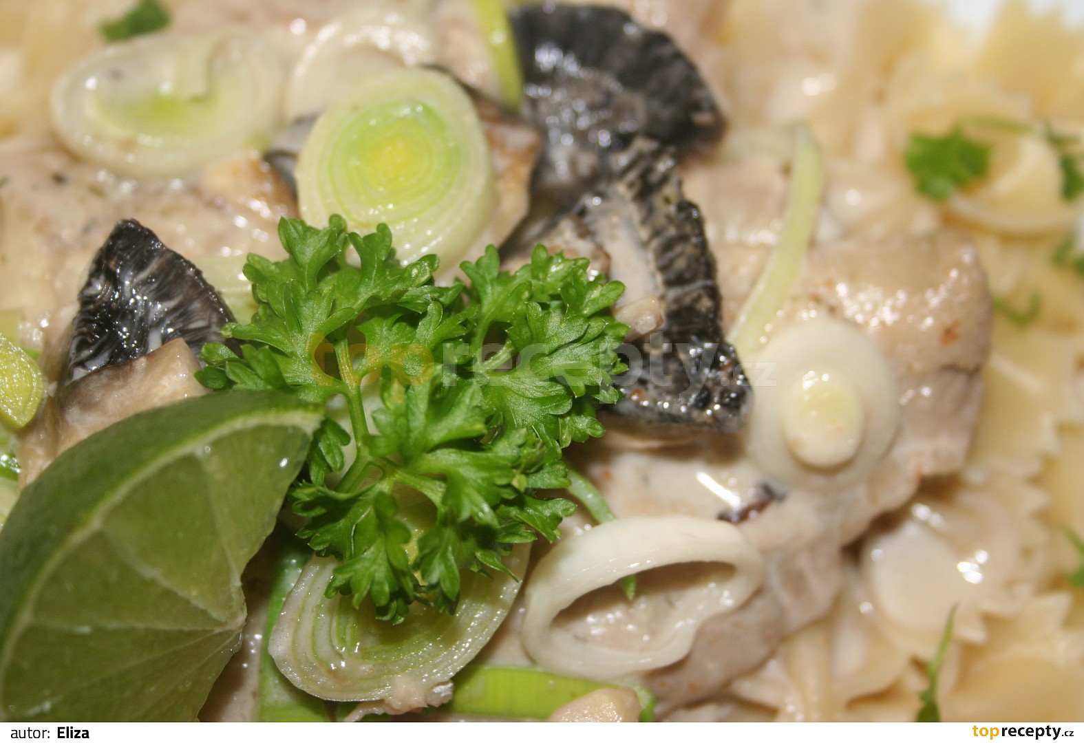 Hejk na smetaně se žampióny a pórkem - TopRecepty.cz