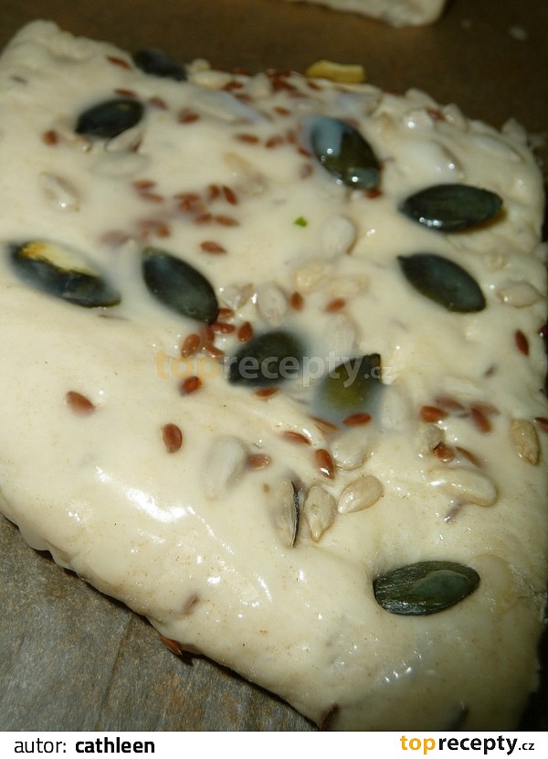 Semínkový posúch - TopRecepty.cz