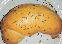 Rohlíky recept - TopRecepty.cz