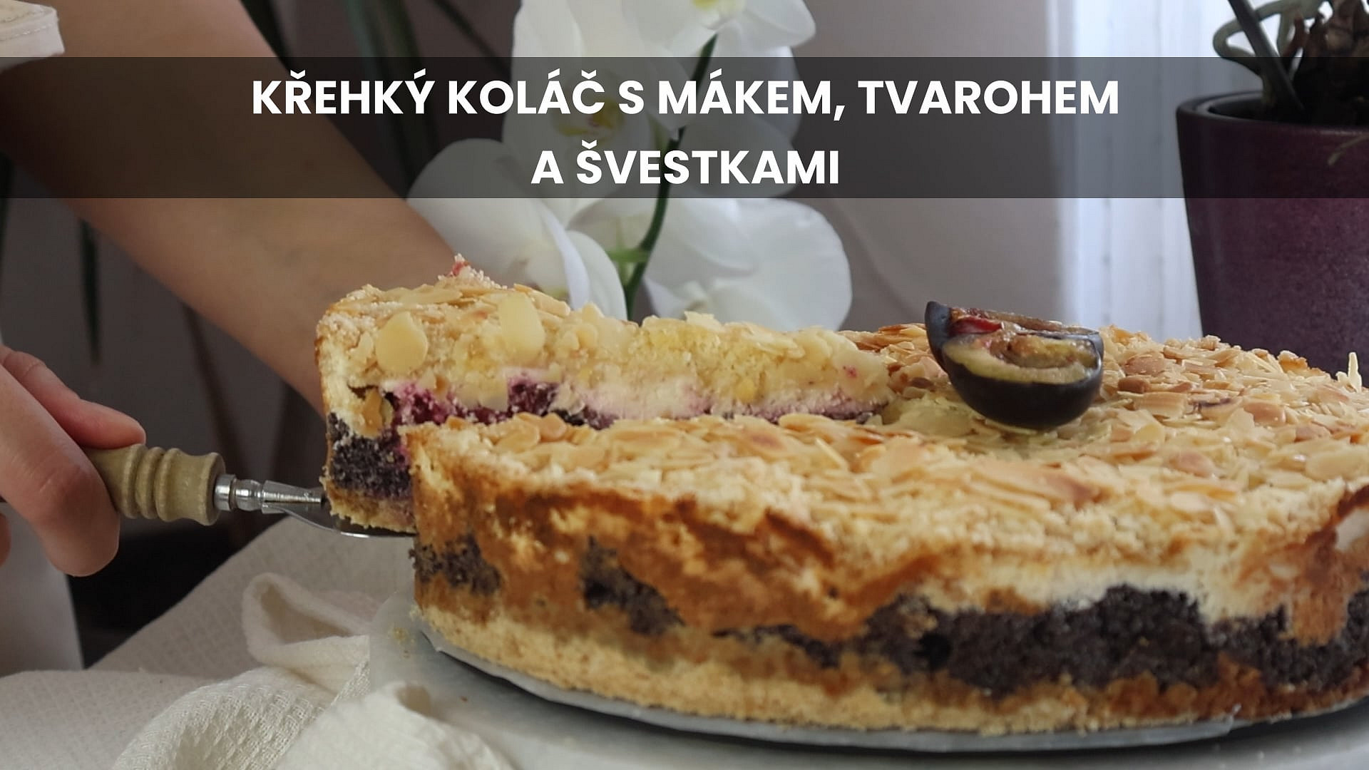 Křehký koláč s mákem, tvarohem a švestkami - fotografie 13 - TopRecepty.cz
